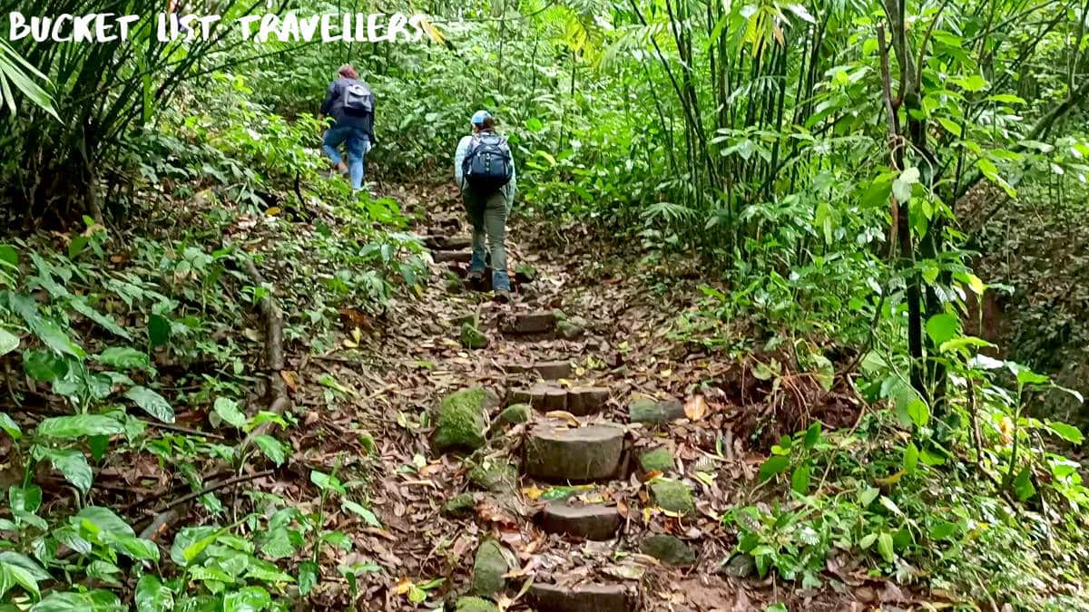 Mombacho Volcano Hike: Day trip from Granada Nicaragua
