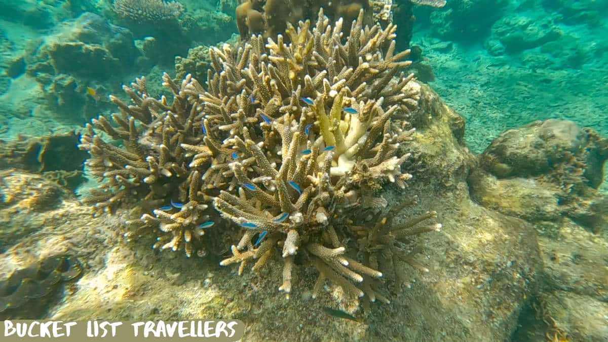 Redang Island Destination Guide (2024): What You Need to Know