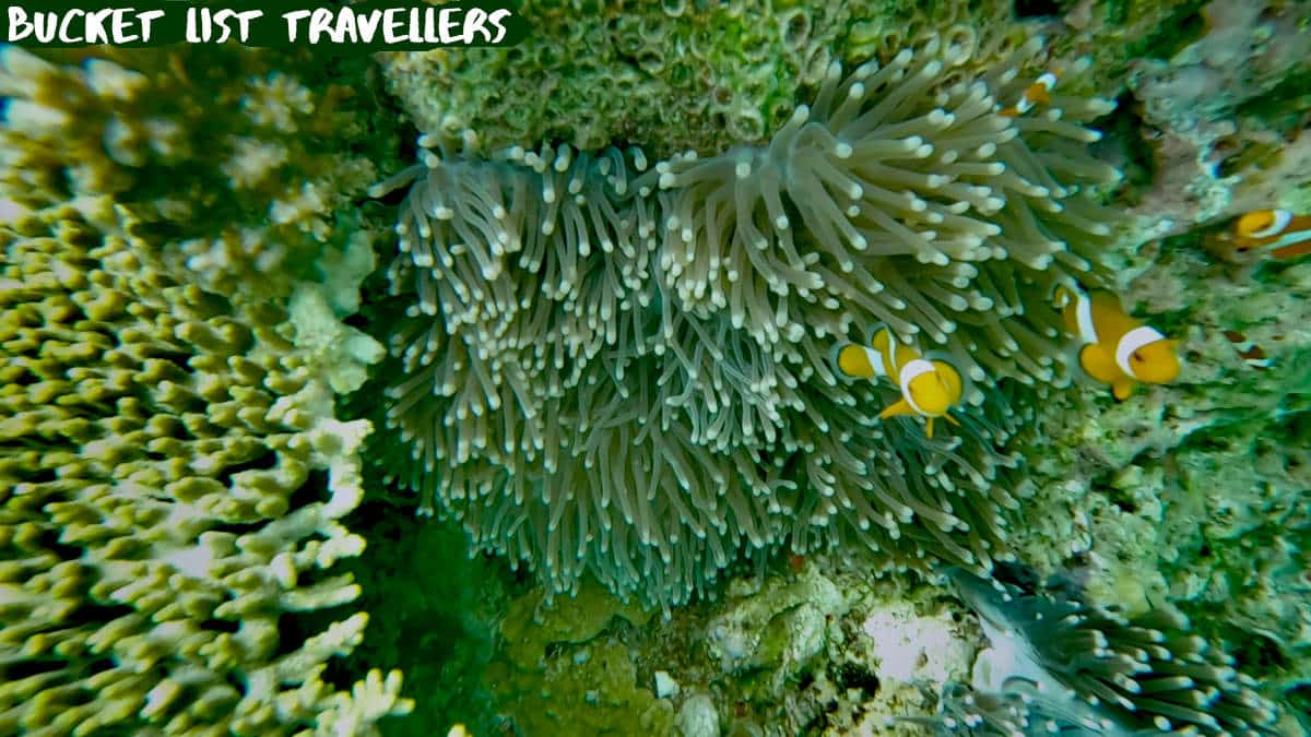 Redang Island Destination Guide (2024): What You Need to Know